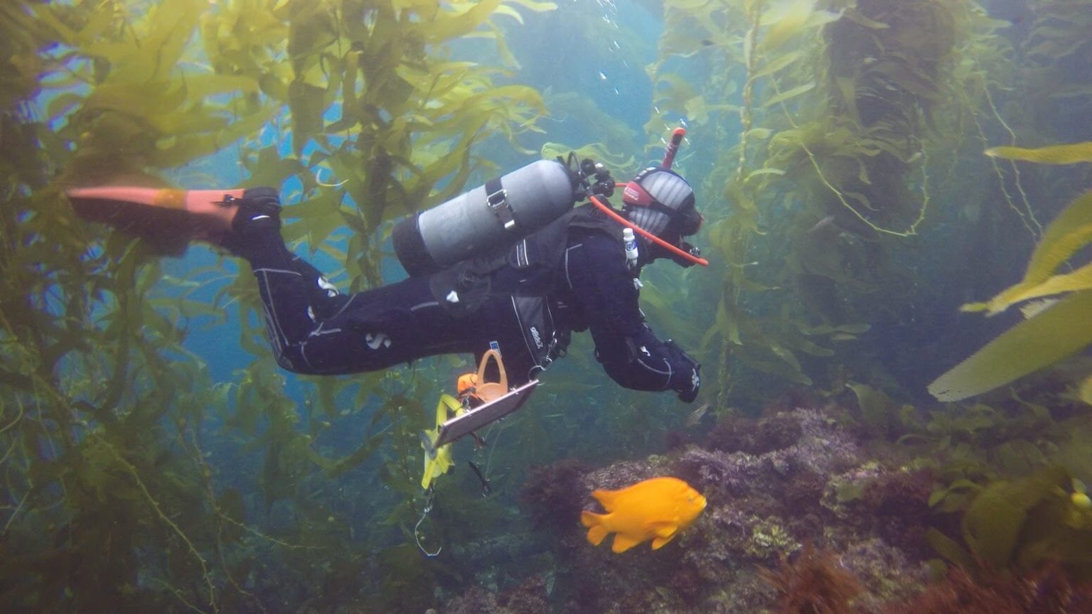 Slates Hot Springs - The Best Natural Hot Springs of California